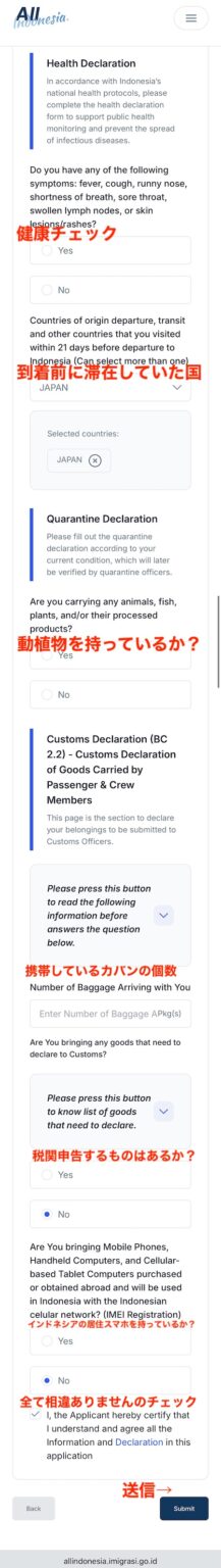 2025年版 インドネシア入国カード「オールインドネシア」とe-VOAの完全ガイド | チェックインバリ＋