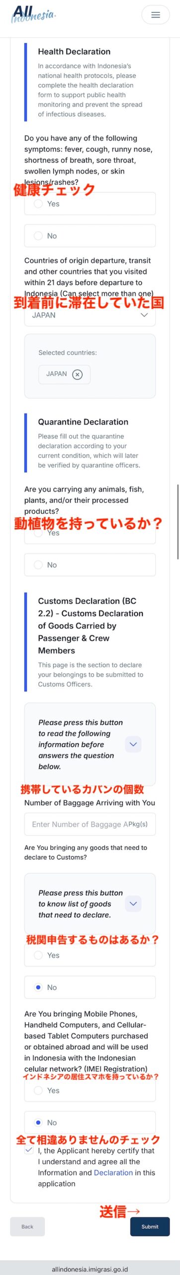 2025年版 インドネシア入国カード「オールインドネシア」とe-VOAの完全ガイド | チェックインバリ＋